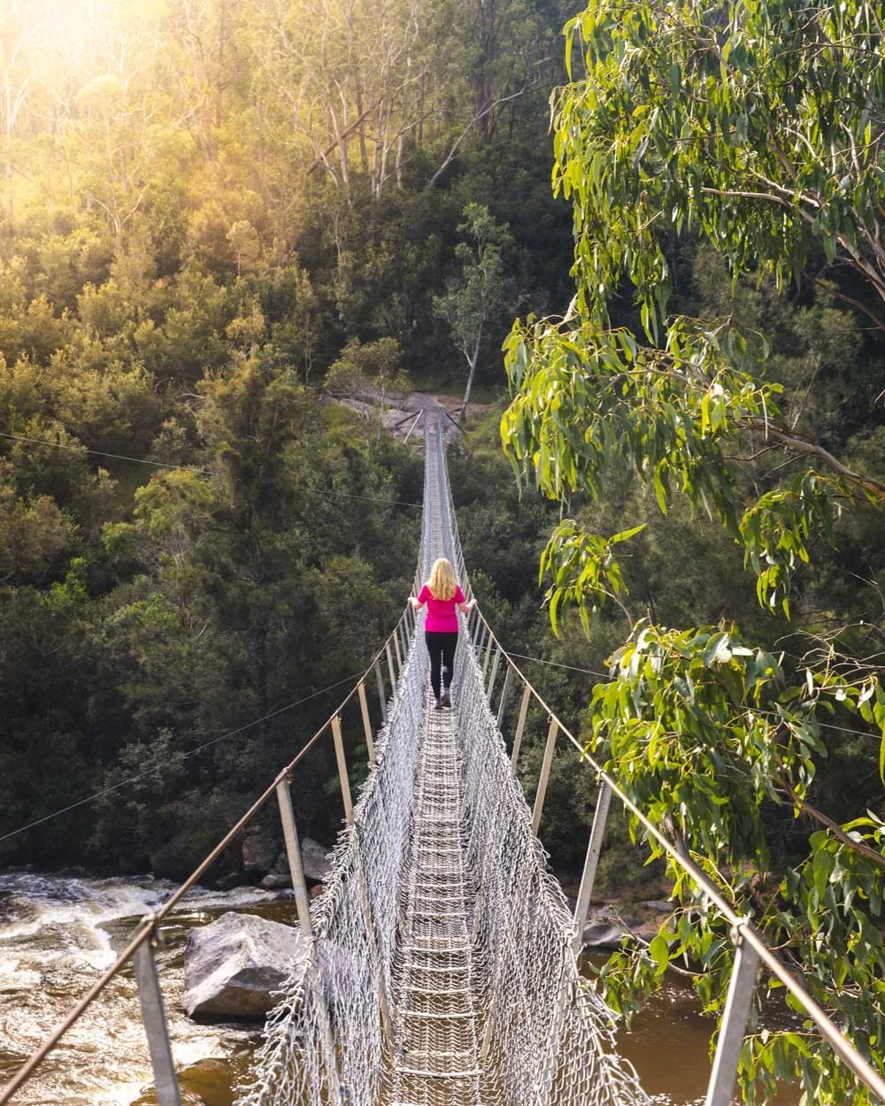 Bowtells Swing Bridge: a fun suspension bridge and secluded swimming ...