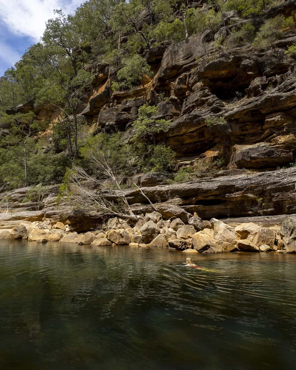 Glenbrook Gorge - a stunning secluded swimming spot in the Blue ...