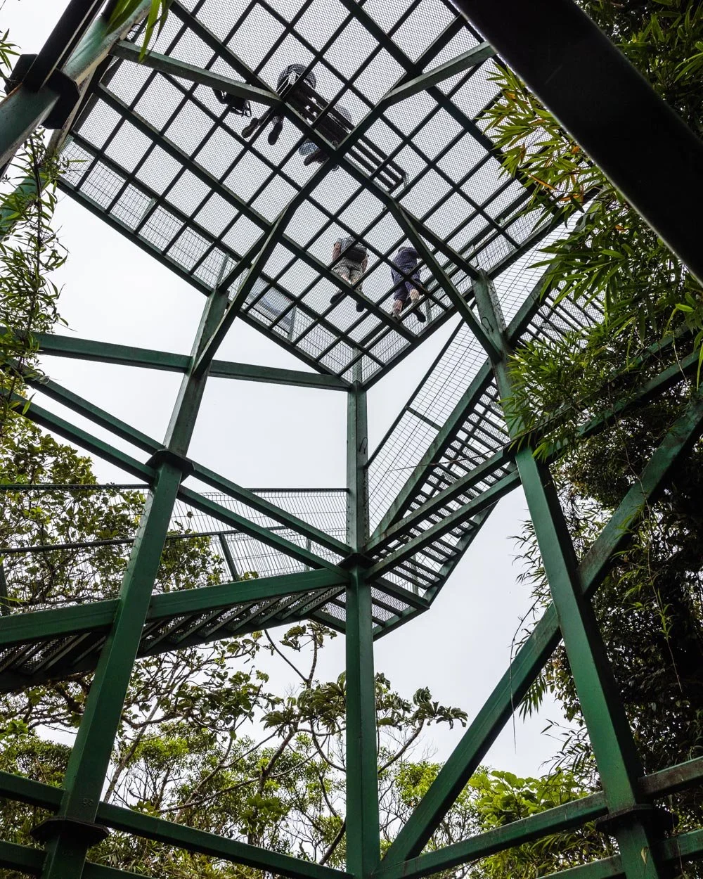 Santa Elena Cloud Forest Reserve: is this Costa Rica's most magical ...