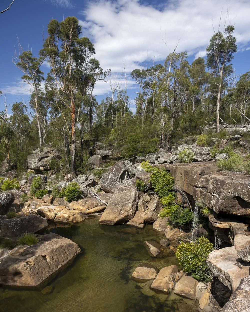 Sandy Creek Falls: Jervis Bay's secret waterfall swimming hole — Walk ...