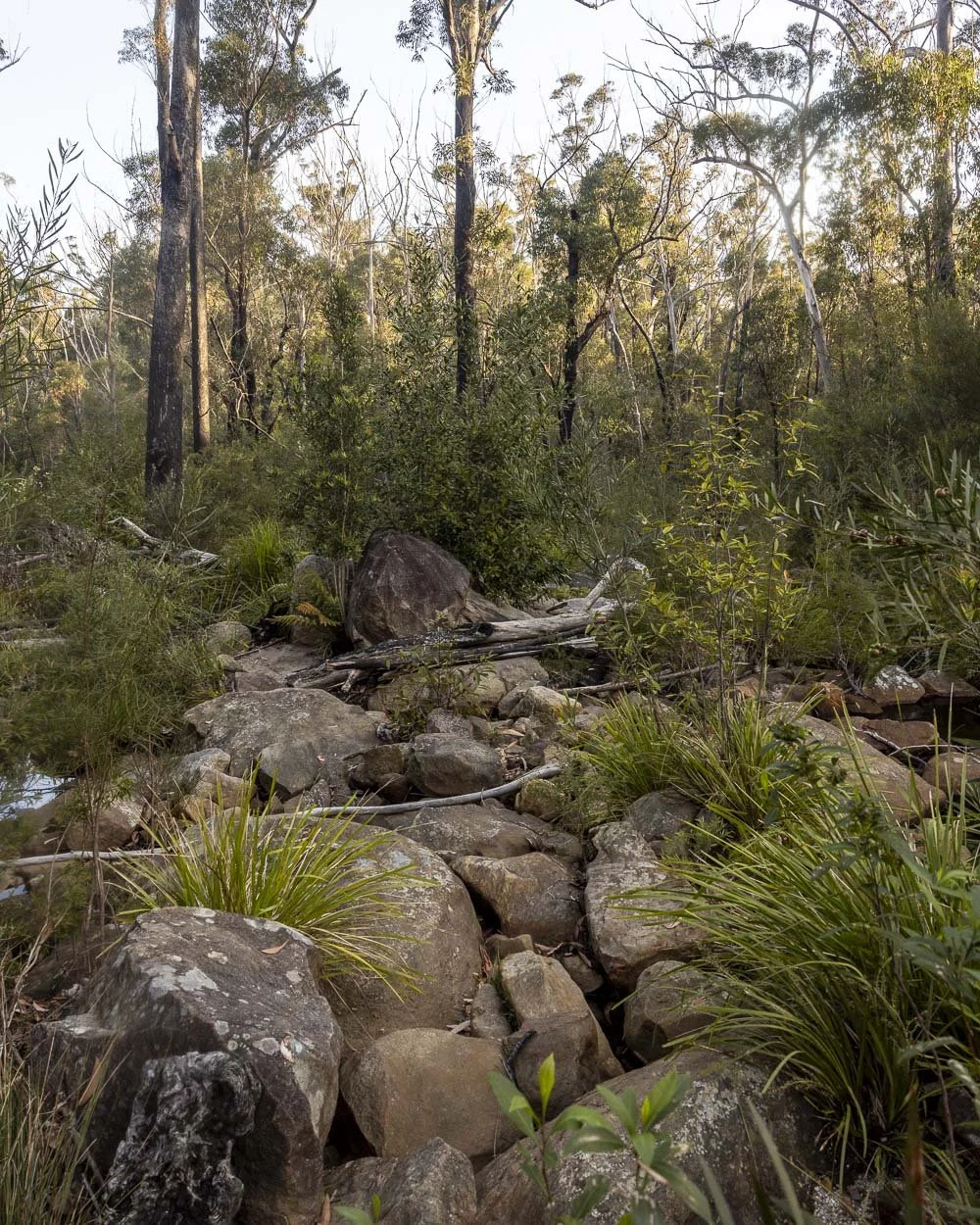 Berrara Creek Waterfall: a little visited waterfall near Jervis Bay ...