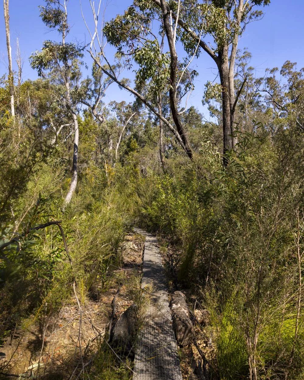 Berrara Waterholes: two stunning quiet swimming holes near Jervis Bay ...