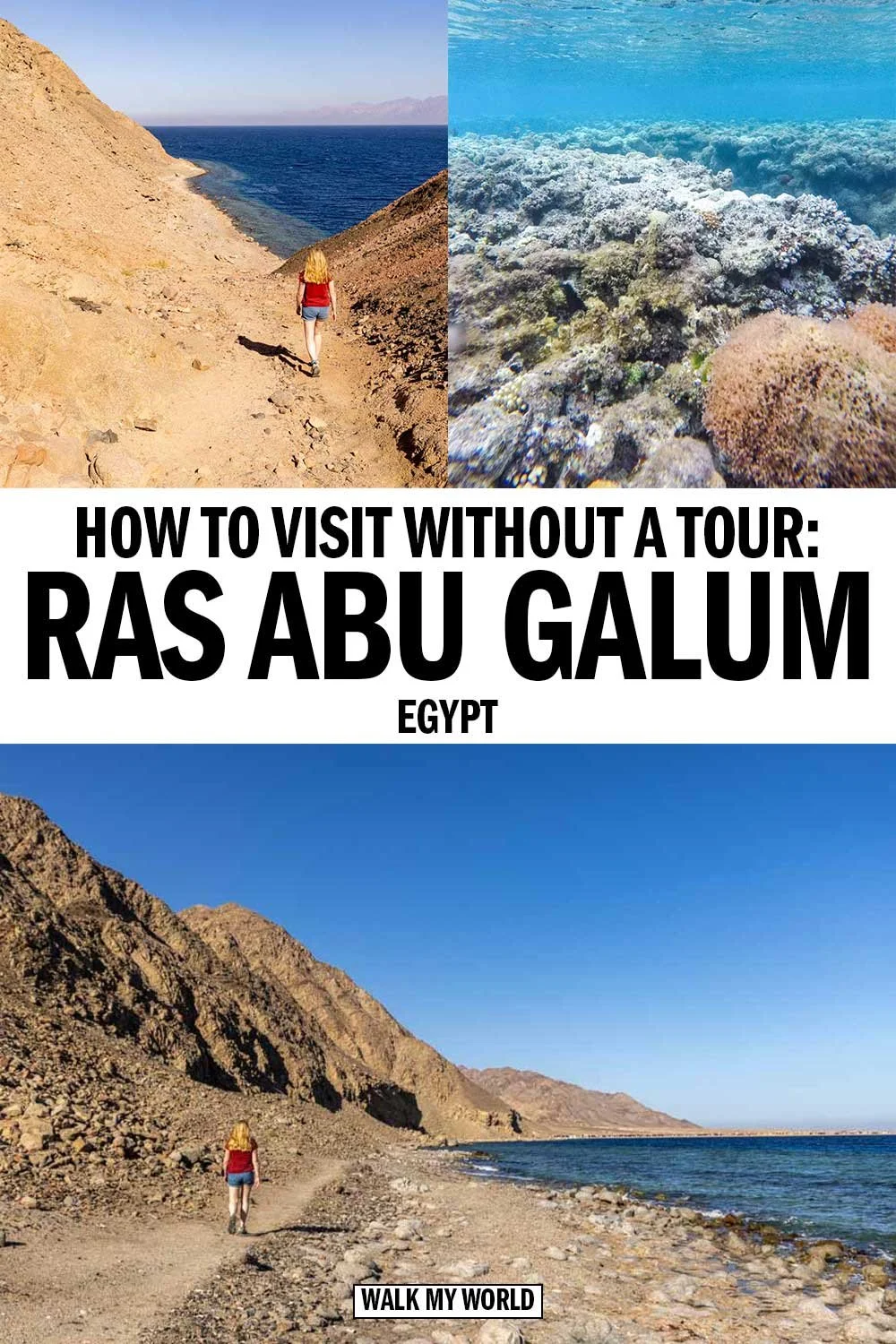 How to visit Ras Abu Galum Reserve without a tour — Walk My World
