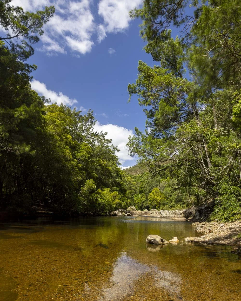 Lone Palm Pool: is this Kangaroo Valley's best hidden swimming spot ...