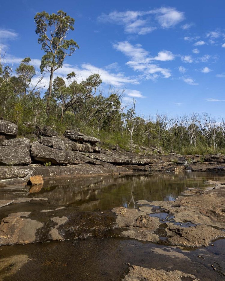 Sandy Creek Falls: Jervis Bay's secret waterfall swimming hole — Walk ...