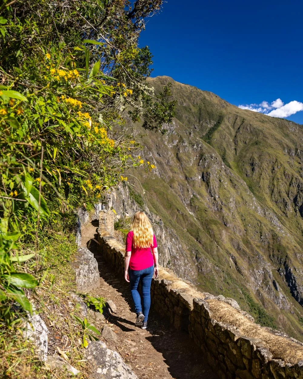Inca Bridge: if you only buy one ticket for Machu Picchu, make it this ...