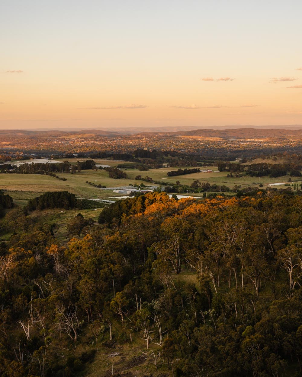 16 Things to do in Orange, NSW for the Perfect Weekend Break — Walk My ...
