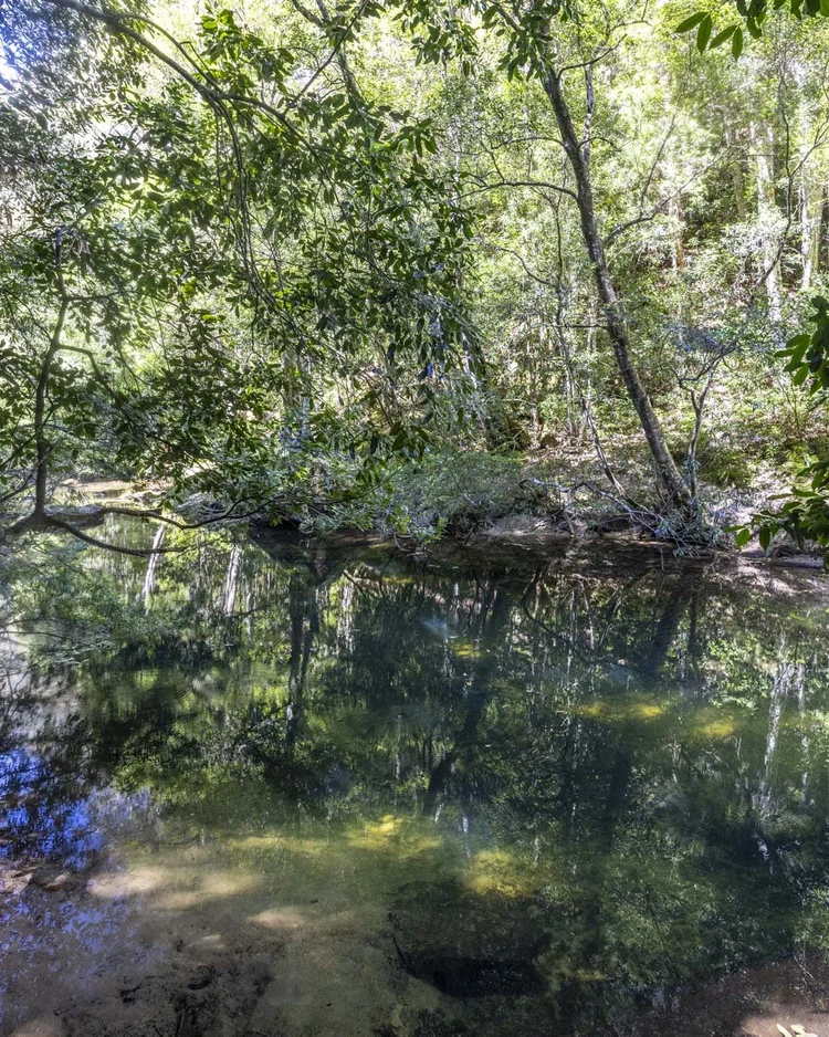 The stunning swimming holes of the Terrace Falls Track — Walk My World