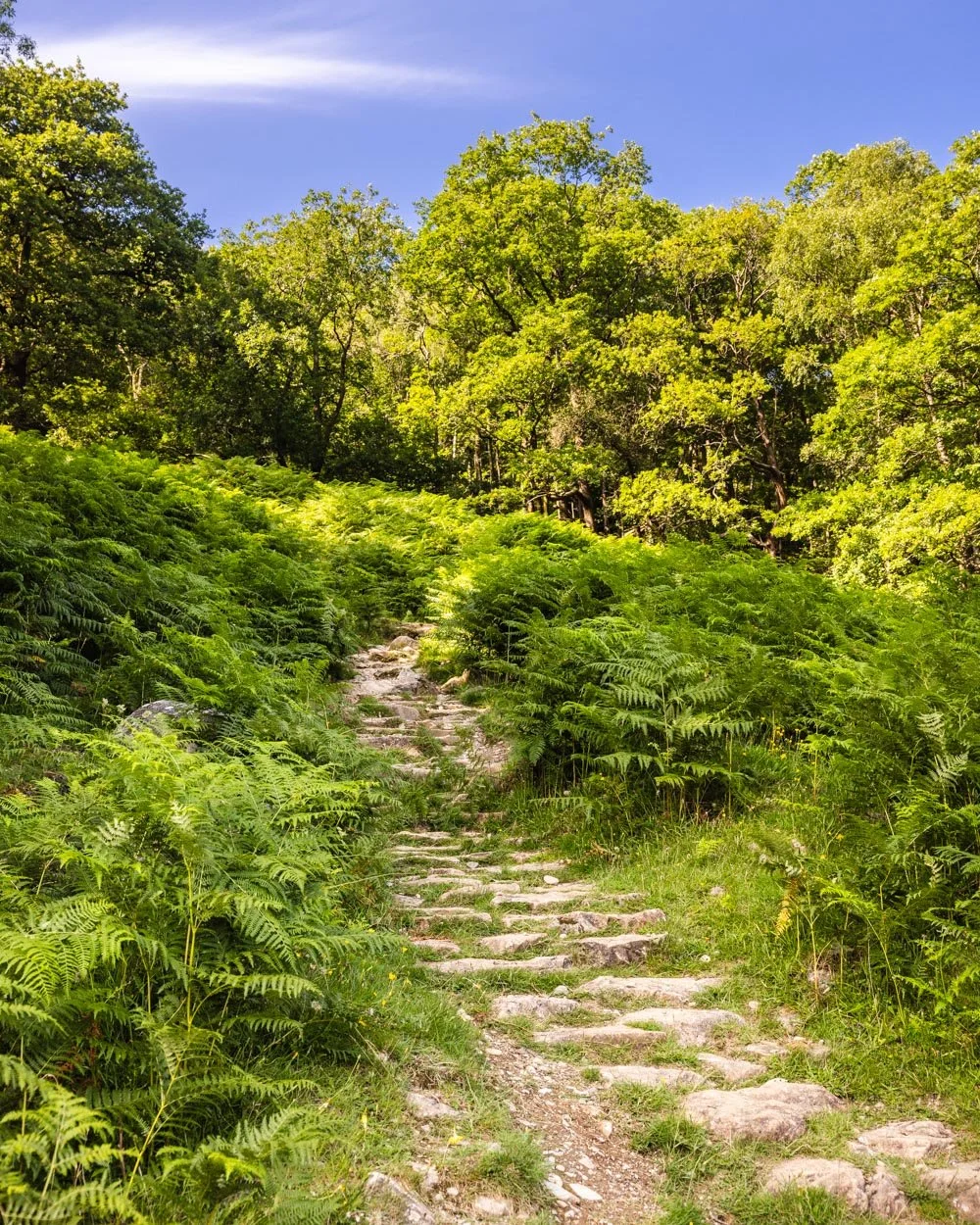 The Castle Crag loop walk including how to find the hidden cave — Walk ...