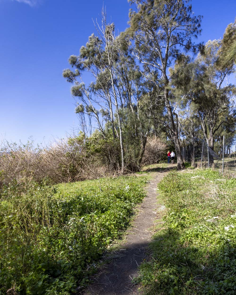 Tips for visiting the Bendalong stingrays (and a secret sea cave nearby ...