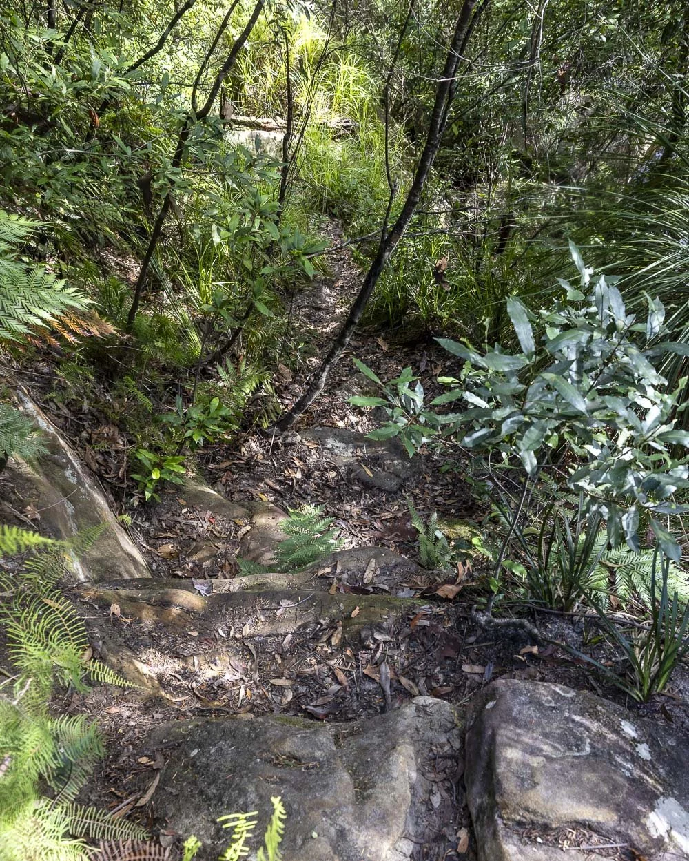 Girrakool Falls: a gorgeous waterfall and plunge pool on the Central ...