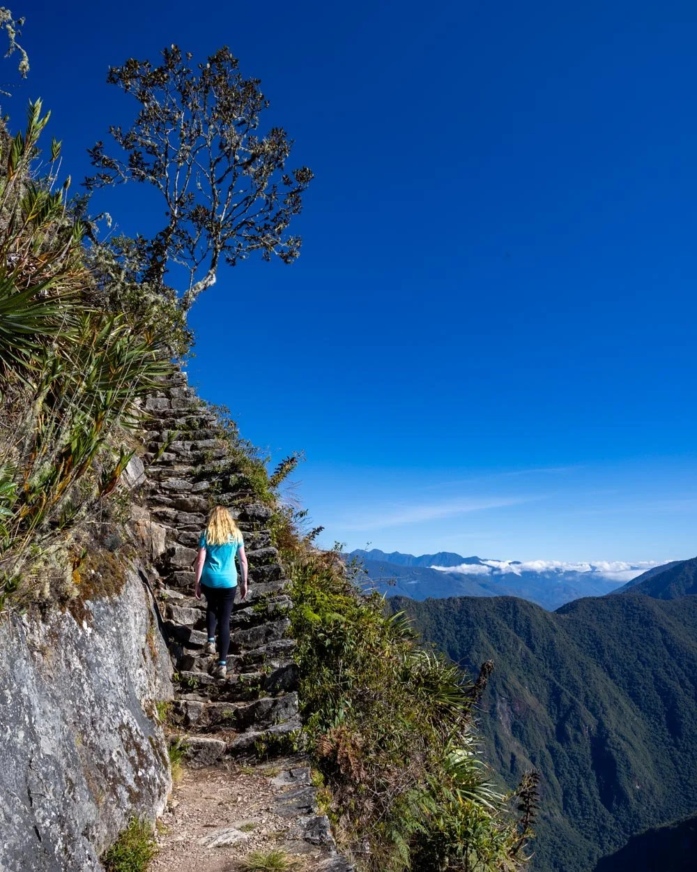 Huayna Picchu vs Machu Picchu Mountain: which is the best Machu Picchu ...