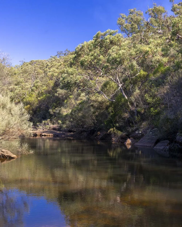 Lake Eckersley: our new favourite swimming spot in Heathcote NP — Walk ...