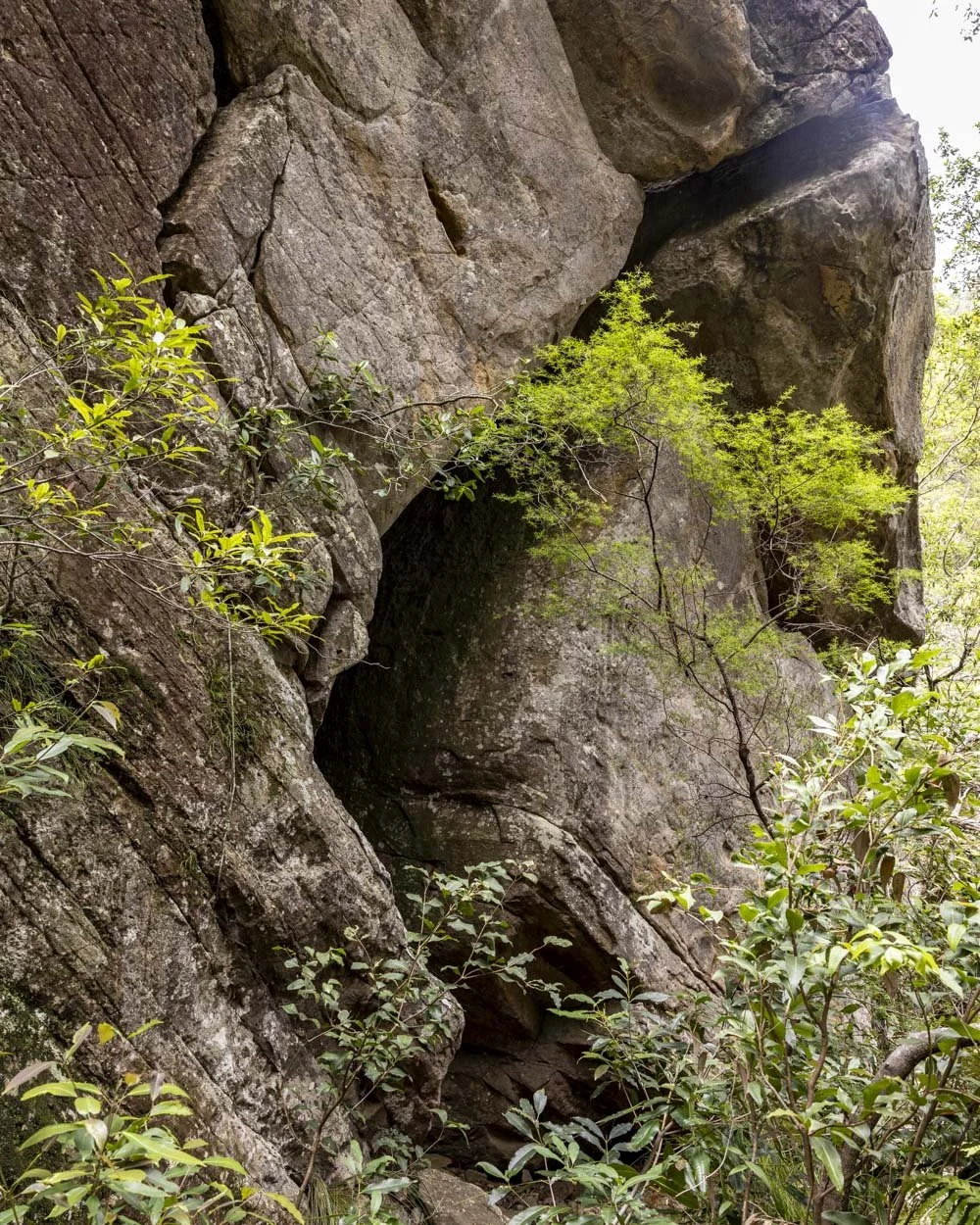 Bomaderry Creek: overhangs, mossy gullies and wild swimming in Nowra ...