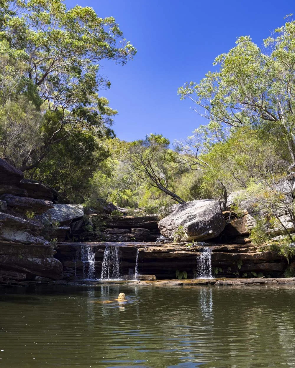 Kingfisher Pool: a pretty swimming hole in Heathcote National Park ...