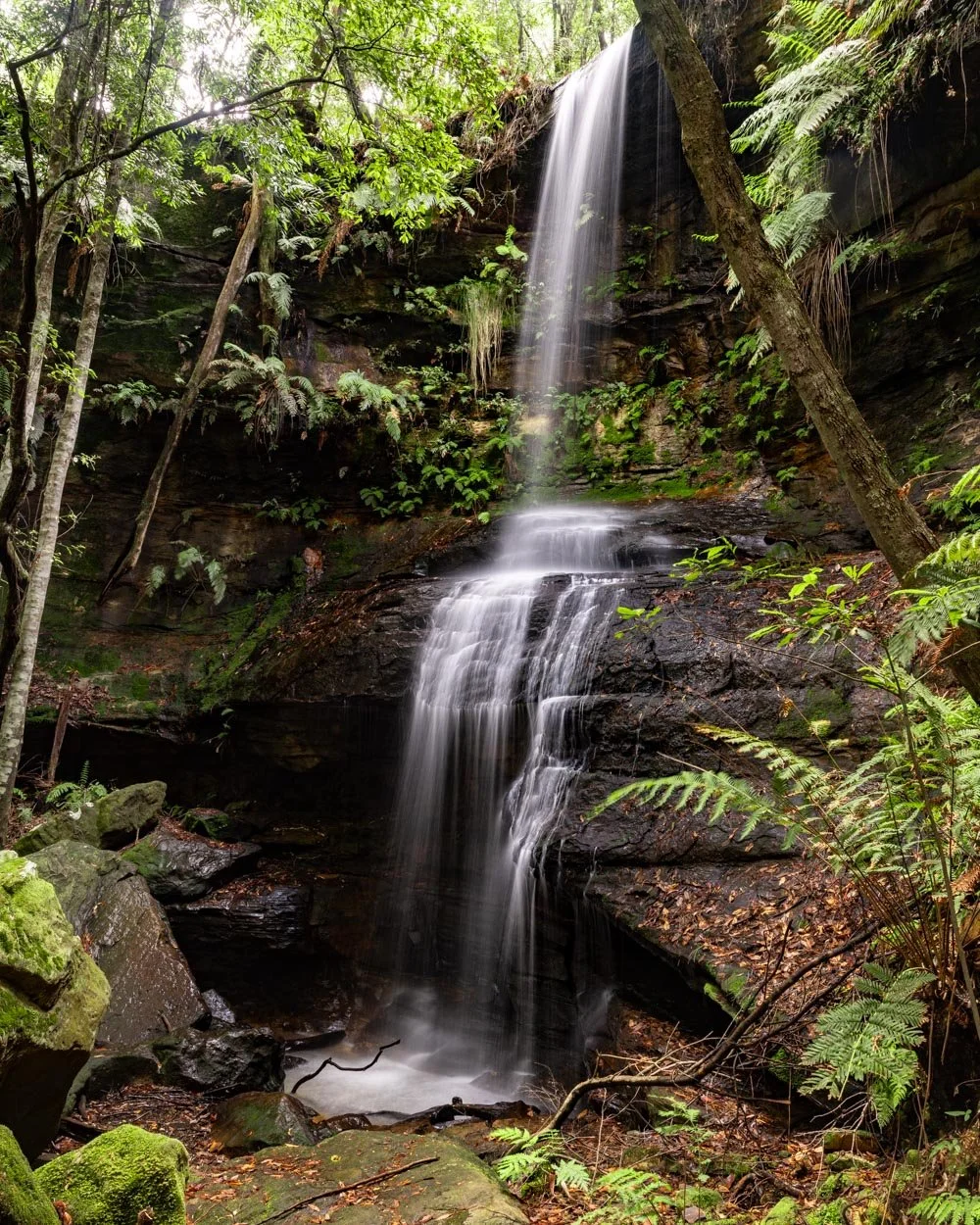 The secrets of Mannings Lookout: hidden waterfalls and lost viewpoints ...