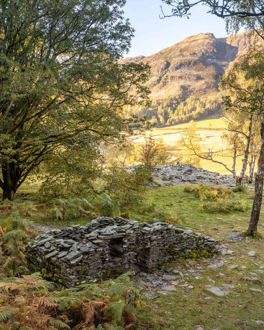 Cathedral Cave: the short route, just a 15 minute walk — Walk My World