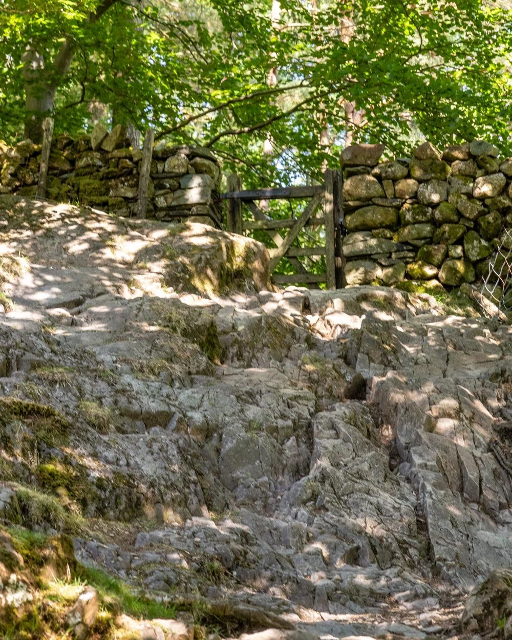 Tray Dub: How to find the secret gorge pool beyond Black Moss Pot ...
