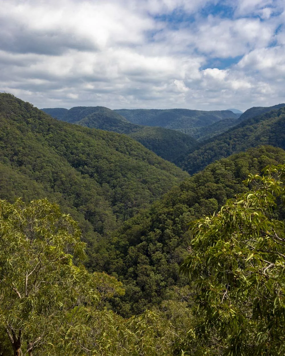 The spectacular Vale of Avoca Track: remote beaches and crystal clear ...