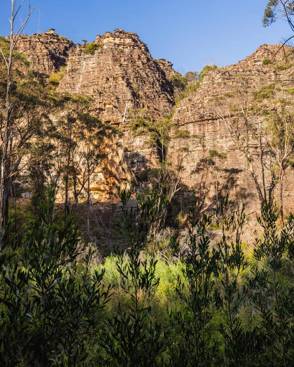 Pool of Diana: wild swimming in the Blue Mountains' hidden paradise ...