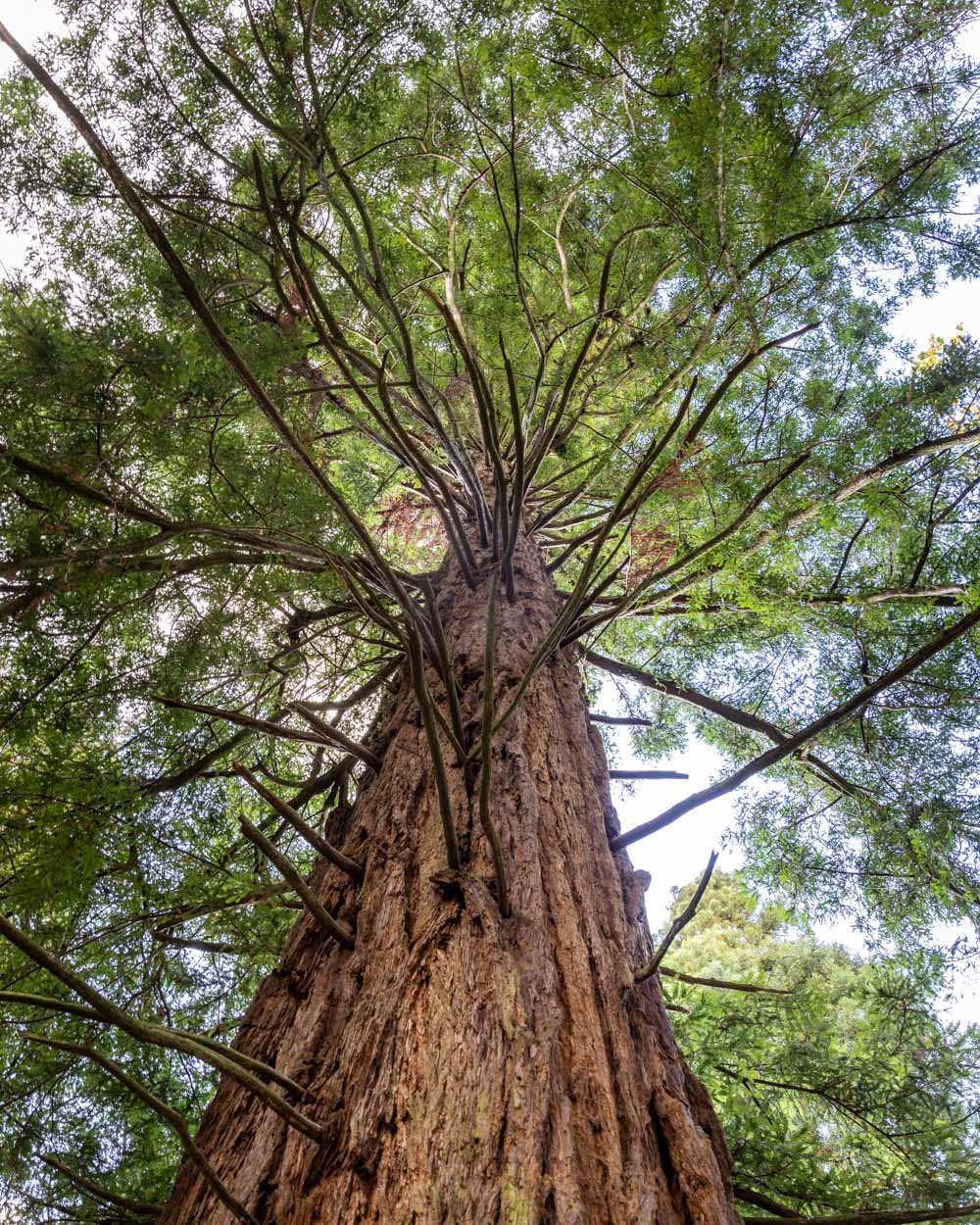 14 incredible things to do in Coniston including secret spots — Walk My ...