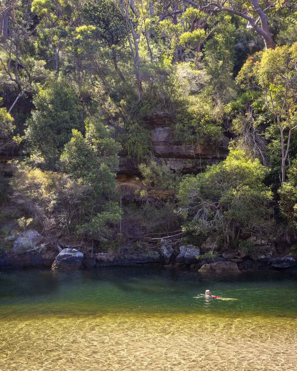 Southwest Arm Pool: Royal National Park's magical emerald lagoon — Walk ...