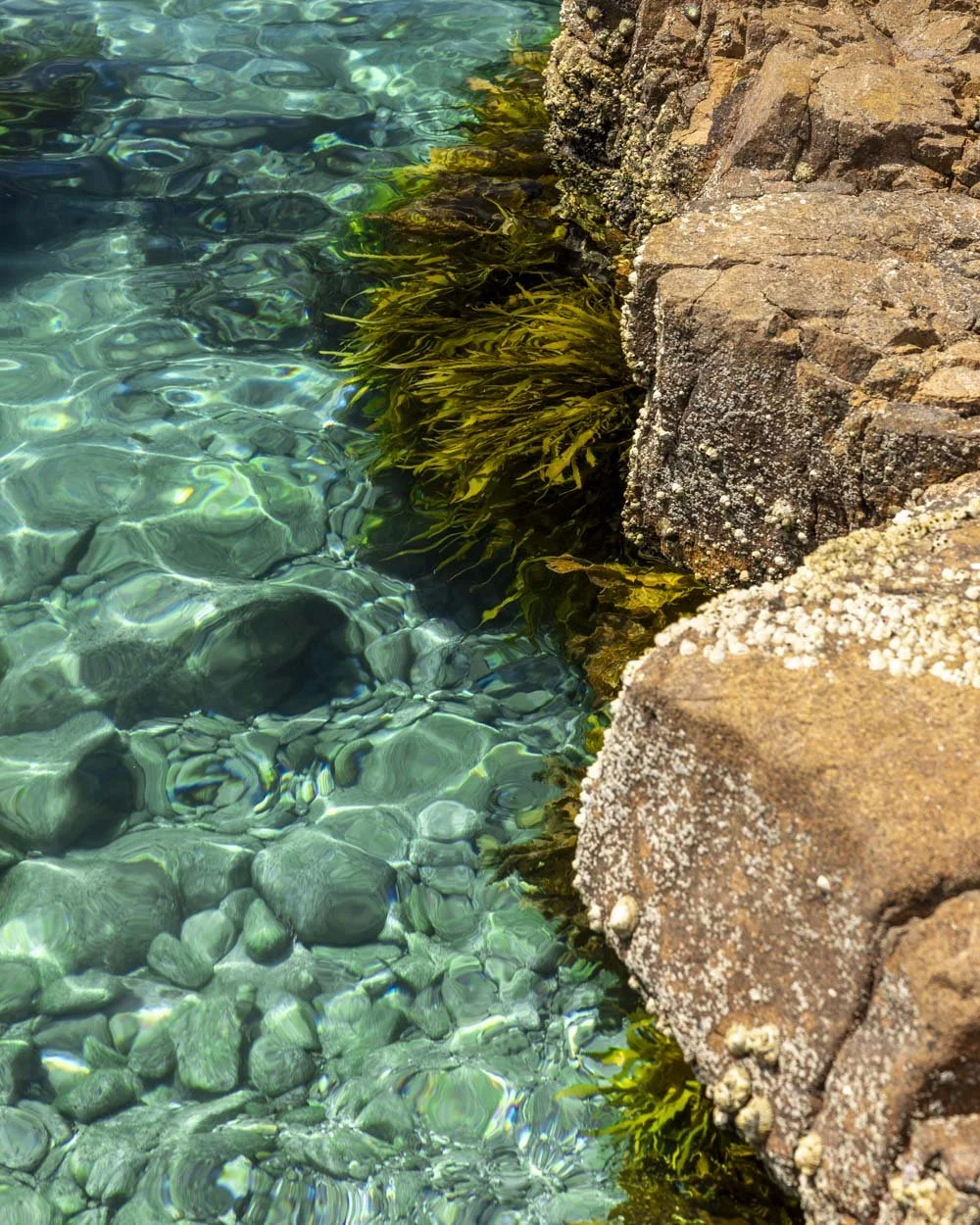 Little Rocky Rockpool: a hidden family friendly rockpool in Port ...