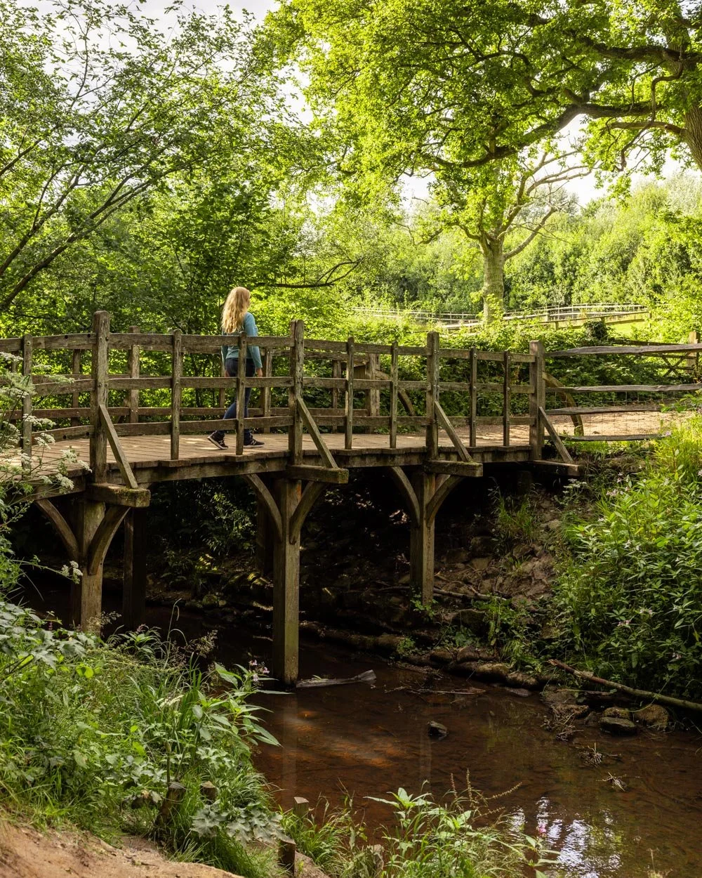 Winnie the Pooh Trail: a fun treasure hunt and Poohsticks Bridge — Walk ...