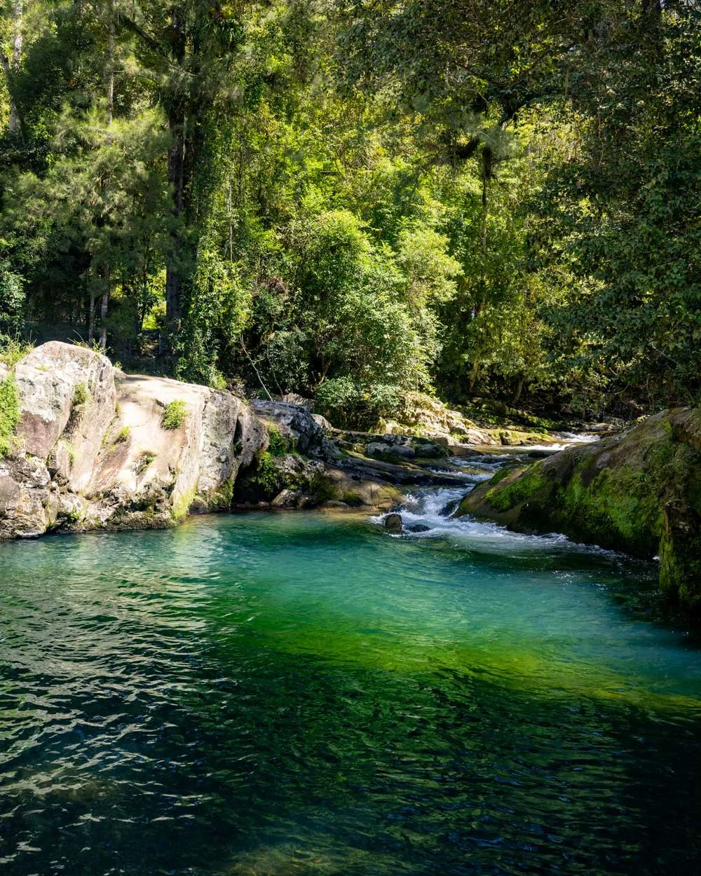 Tips for visiting the spectacular Ladies Well swimming holes — Walk My ...