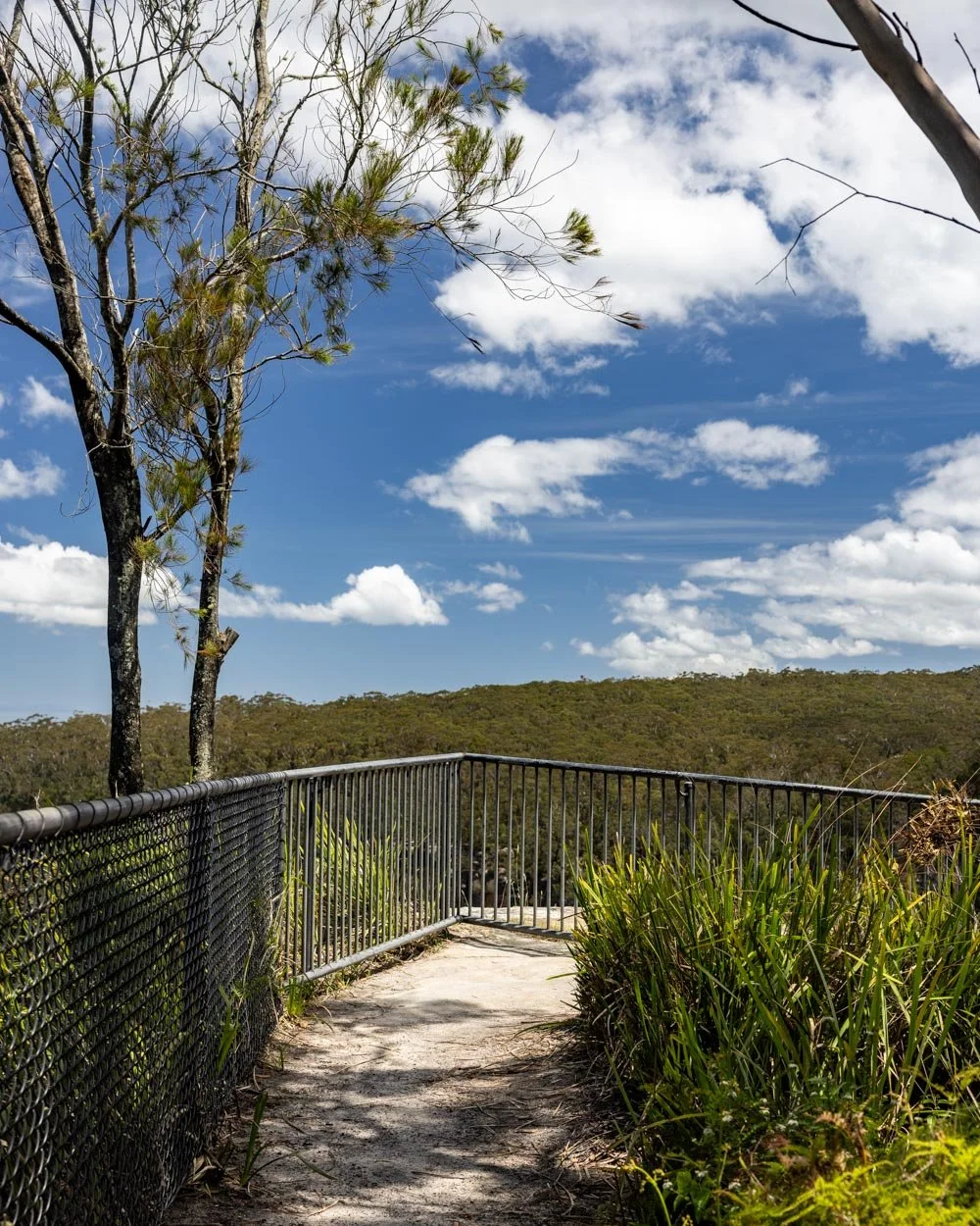The secrets of Mannings Lookout: hidden waterfalls and lost viewpoints ...