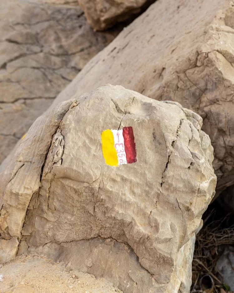 Wadi Bani Khalid: how to escape the crowds at Oman's most popular wadi ...