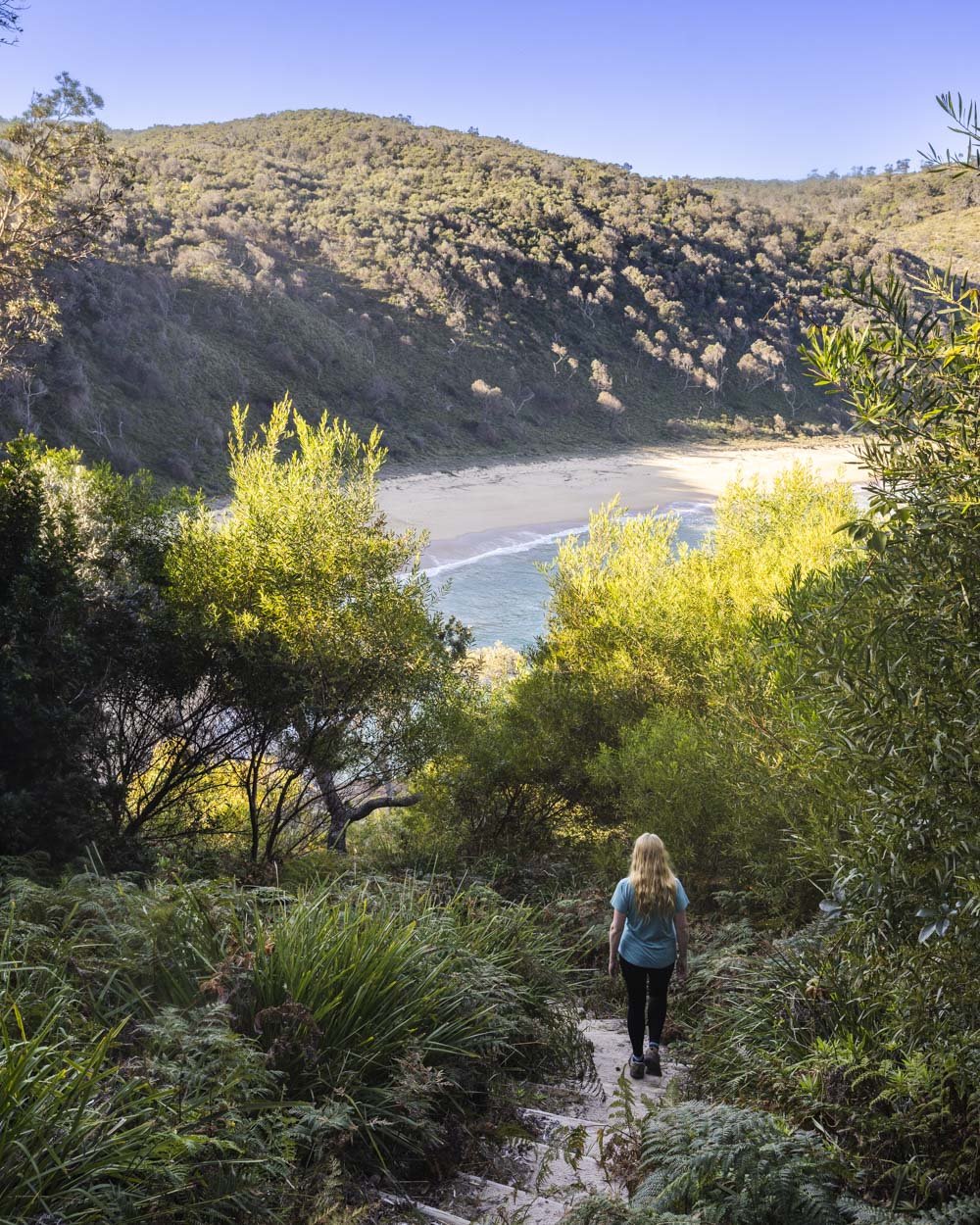 Steamers Beach: a wild & secluded beach in Jervis Bay — Walk My World