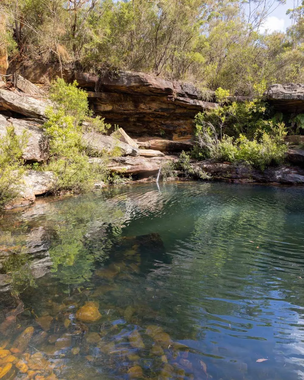 Kangaroo Pool: is this the most beautiful swimming spot in Royal ...