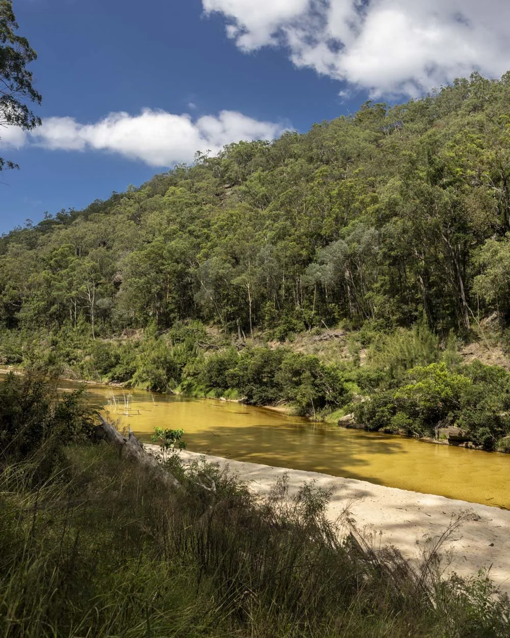 The spectacular Vale of Avoca Track: remote beaches and crystal clear ...