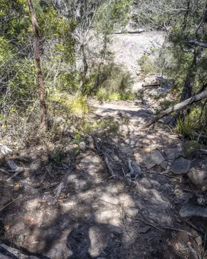 Wild swimming at Minerva Pool: one of Sydney's best waterholes — Walk ...