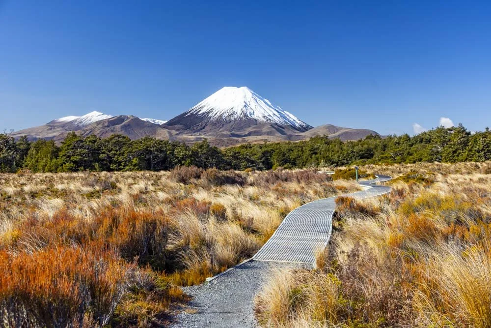 Aotearoa - New Zealand Travel Guide — Walk My World