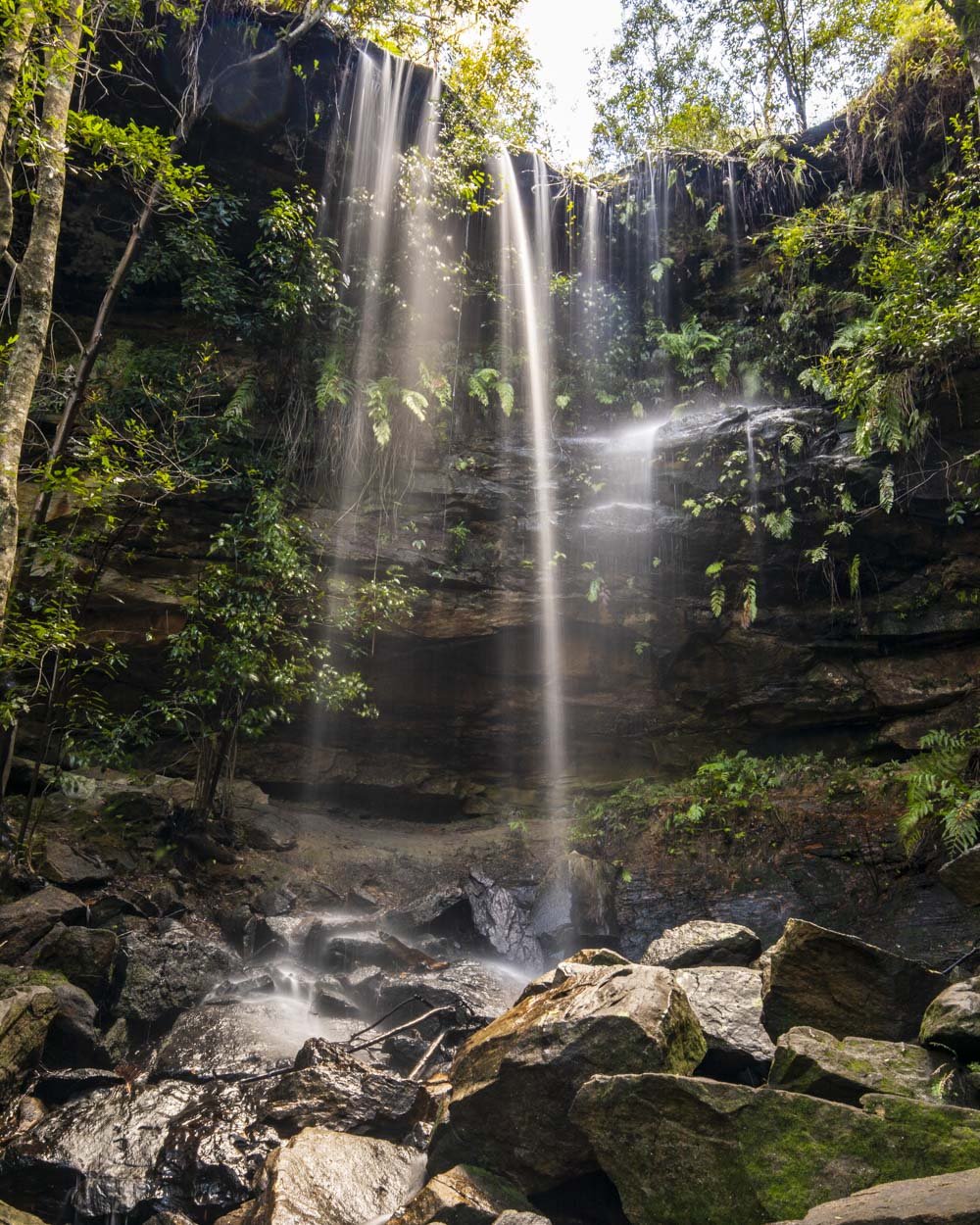 The Transit of Venus: three pretty waterfalls on one trail — Walk My World