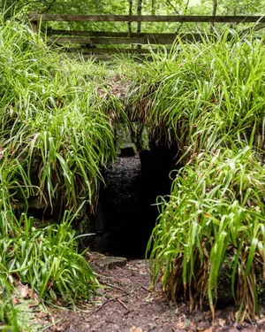 Hartburn Grotto: Northumberland's secret Hobbit Hole — Walk My World
