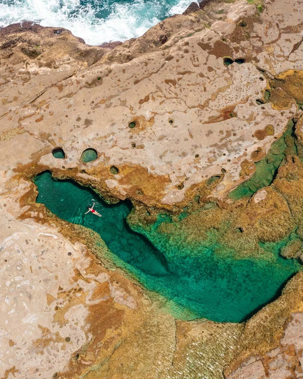 How to find the Catherine Hill Bay Rockpool: the best on the Central ...
