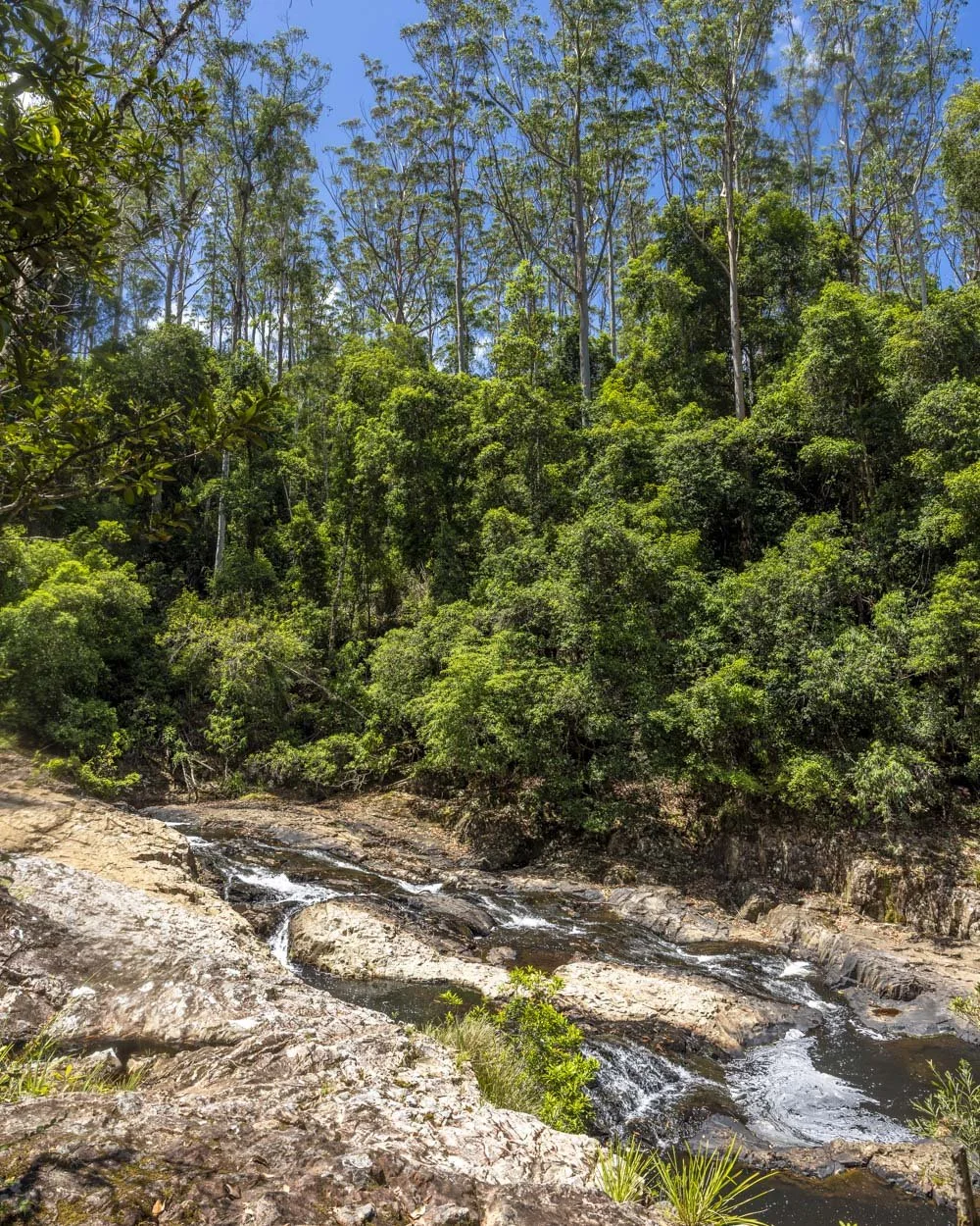 Where to find the stunning gorge pools of Swans Crossing near Port ...