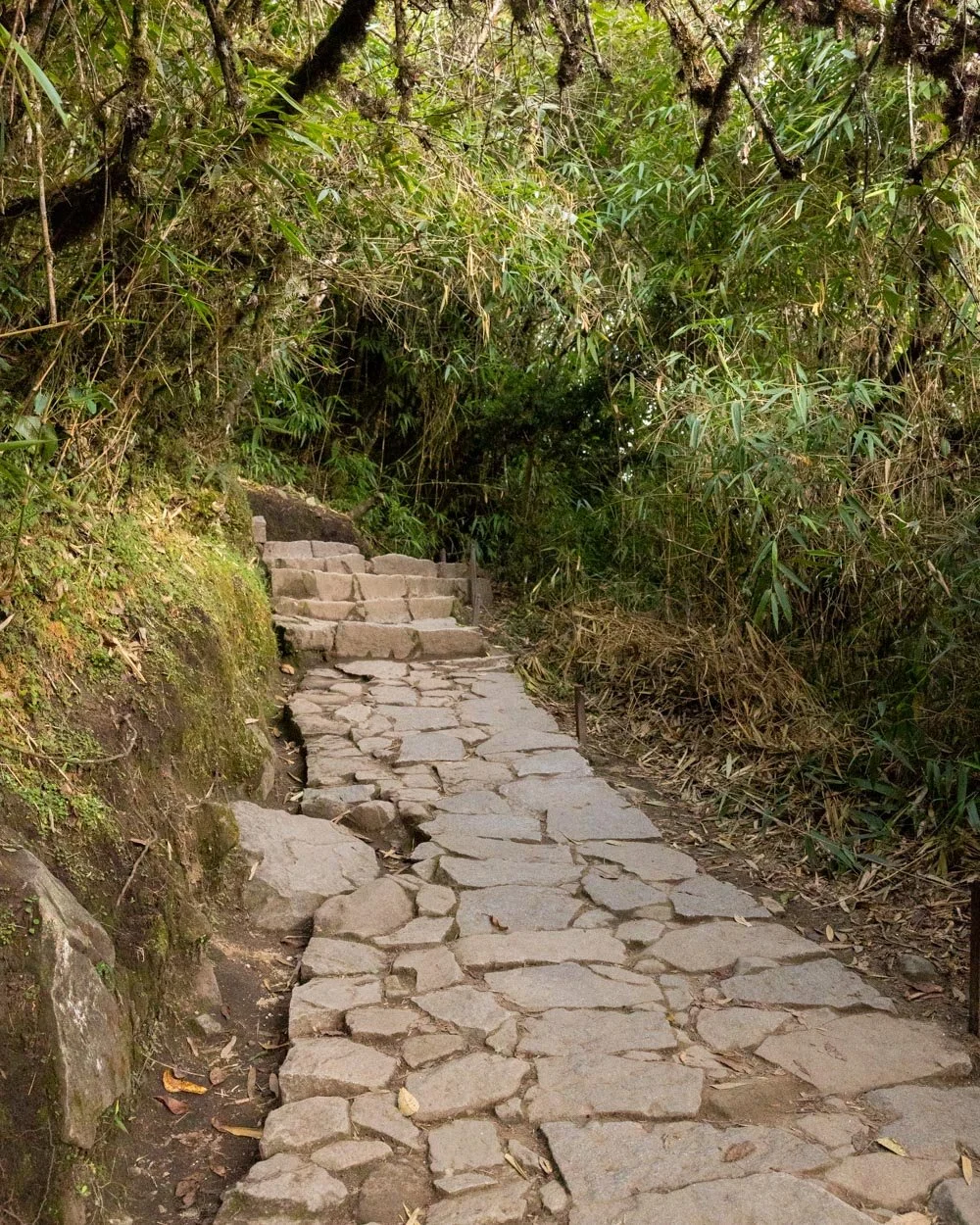 Machu Picchu Mountain: how hard the hike is plus a secret insider tip ...