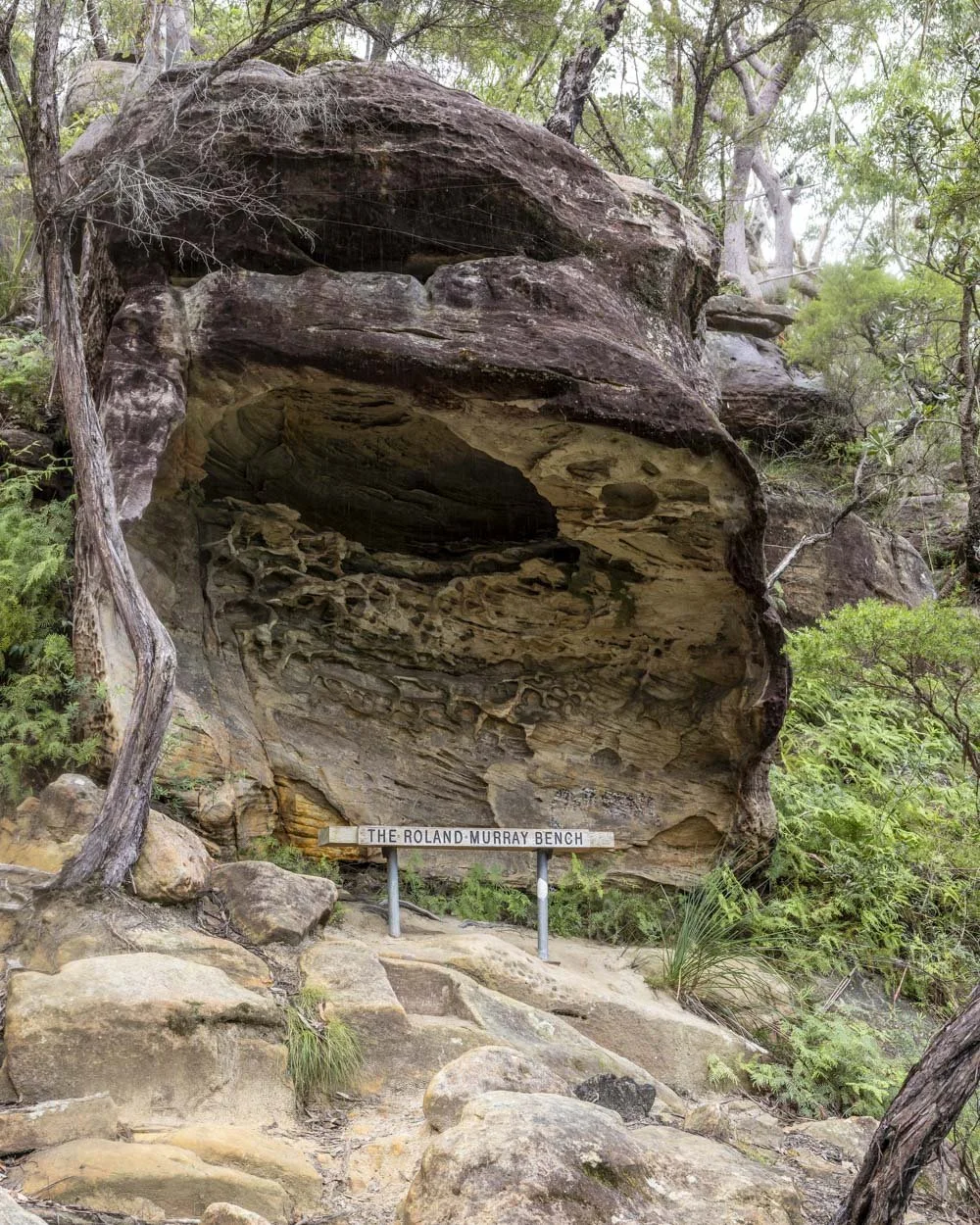 Turners Fire Trail Circuit: a fun walk with via ferrata style rungs ...