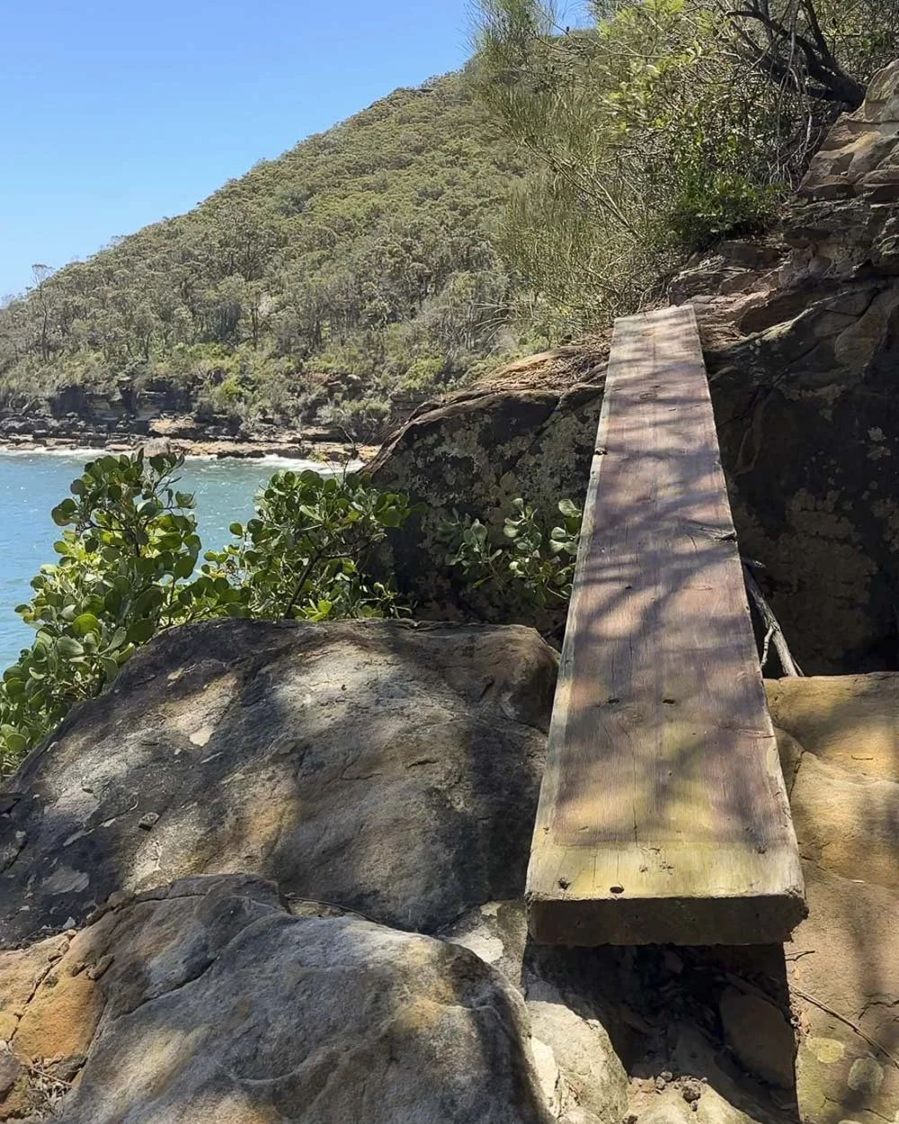 Iron Ladder Beach: is this the Central Coast's most adventurous beach ...