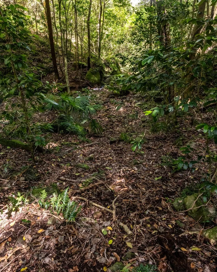 How to find Berry's secret waterfall — Walk My World