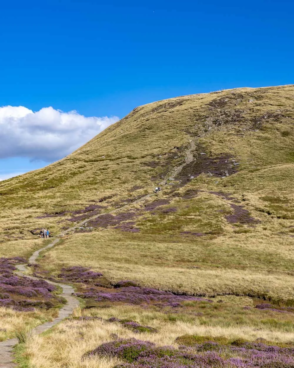 Climb Kinder Scout: Kinder Scout Circular Walk Map – TGIDQQ