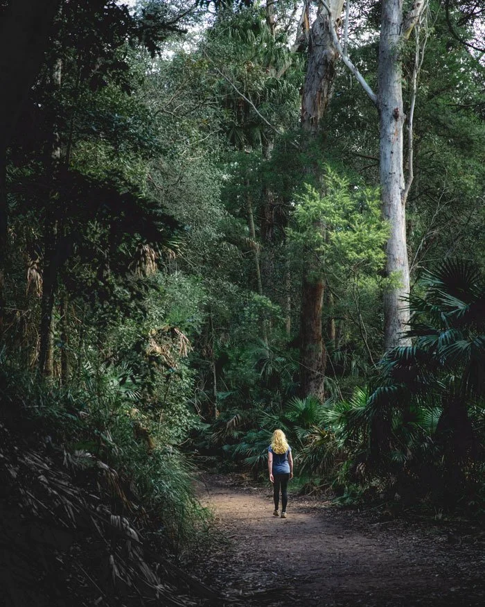 Palona Cave Walk - a trail of hidden gems — Walk My World