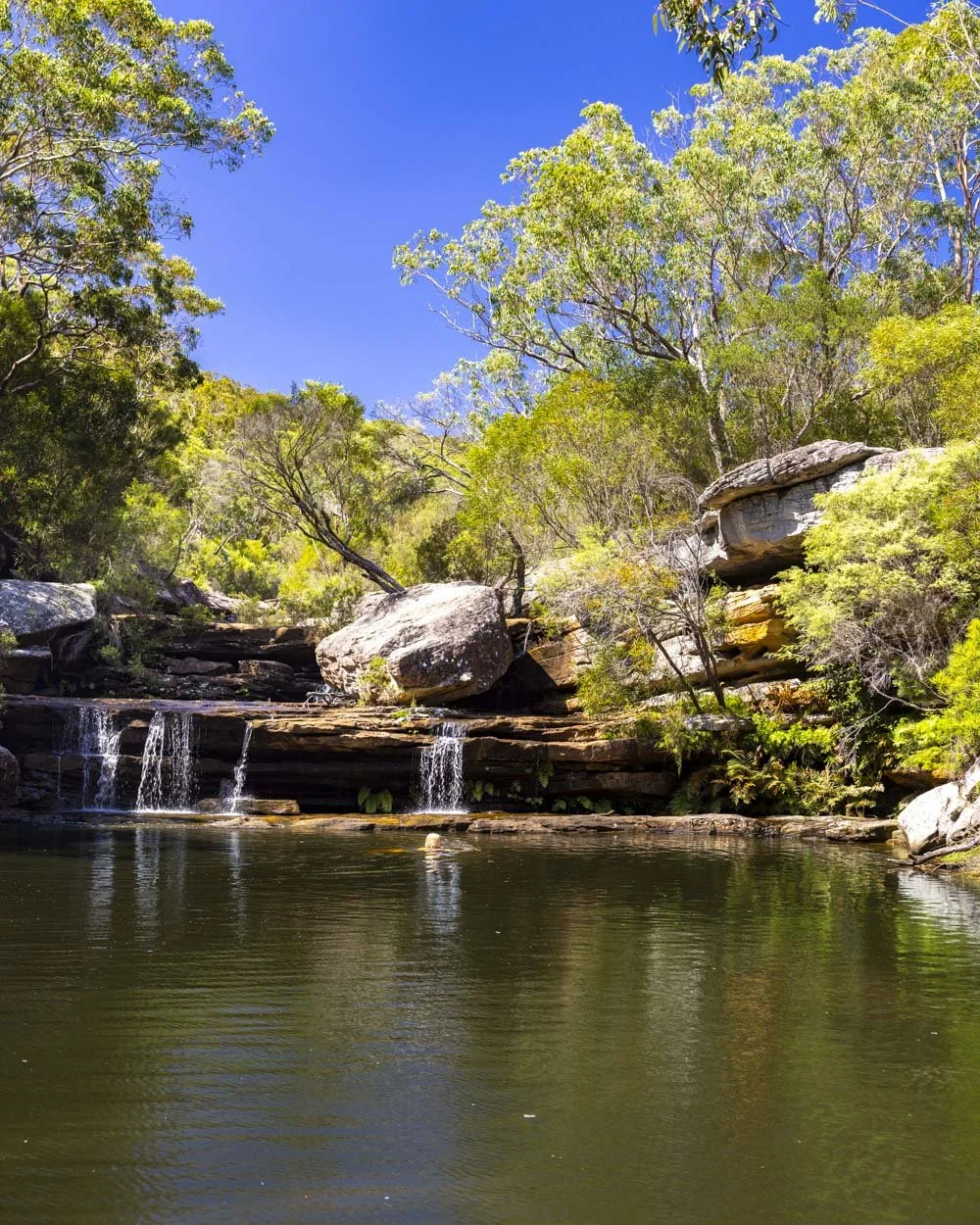 Kingfisher Pool: a pretty swimming hole in Heathcote National Park ...