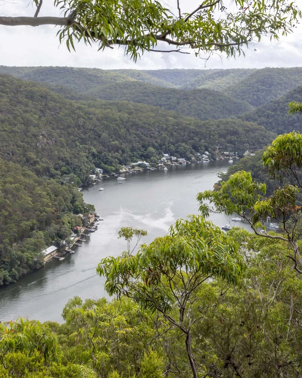 Turners Fire Trail Circuit: a fun walk with via ferrata style rungs ...