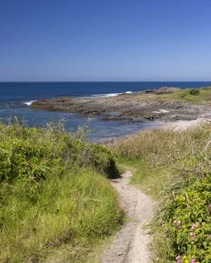 How to find Shellharbour's secret rockpools at Maloneys Bay — Walk My World