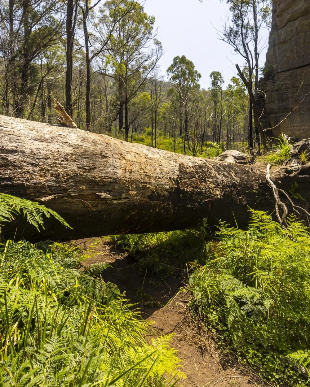 Split Rock: squeezing through the narrow slot canyon in the Blue ...